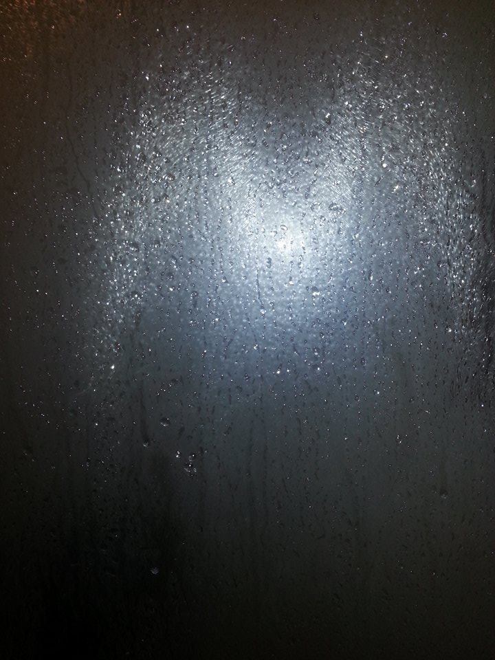 Elsa by Tobias Haglund – literally stories