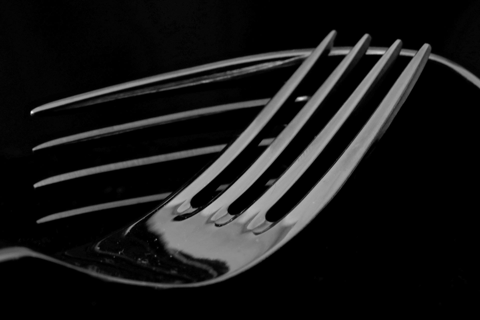 Forks by Meg Sattler – literally stories