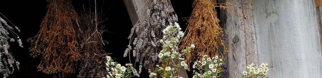 execution – literally stories