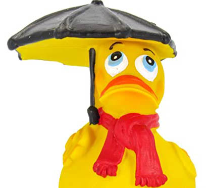 Week 486: Beware of the Amazing Bogey-Duck – literally stories