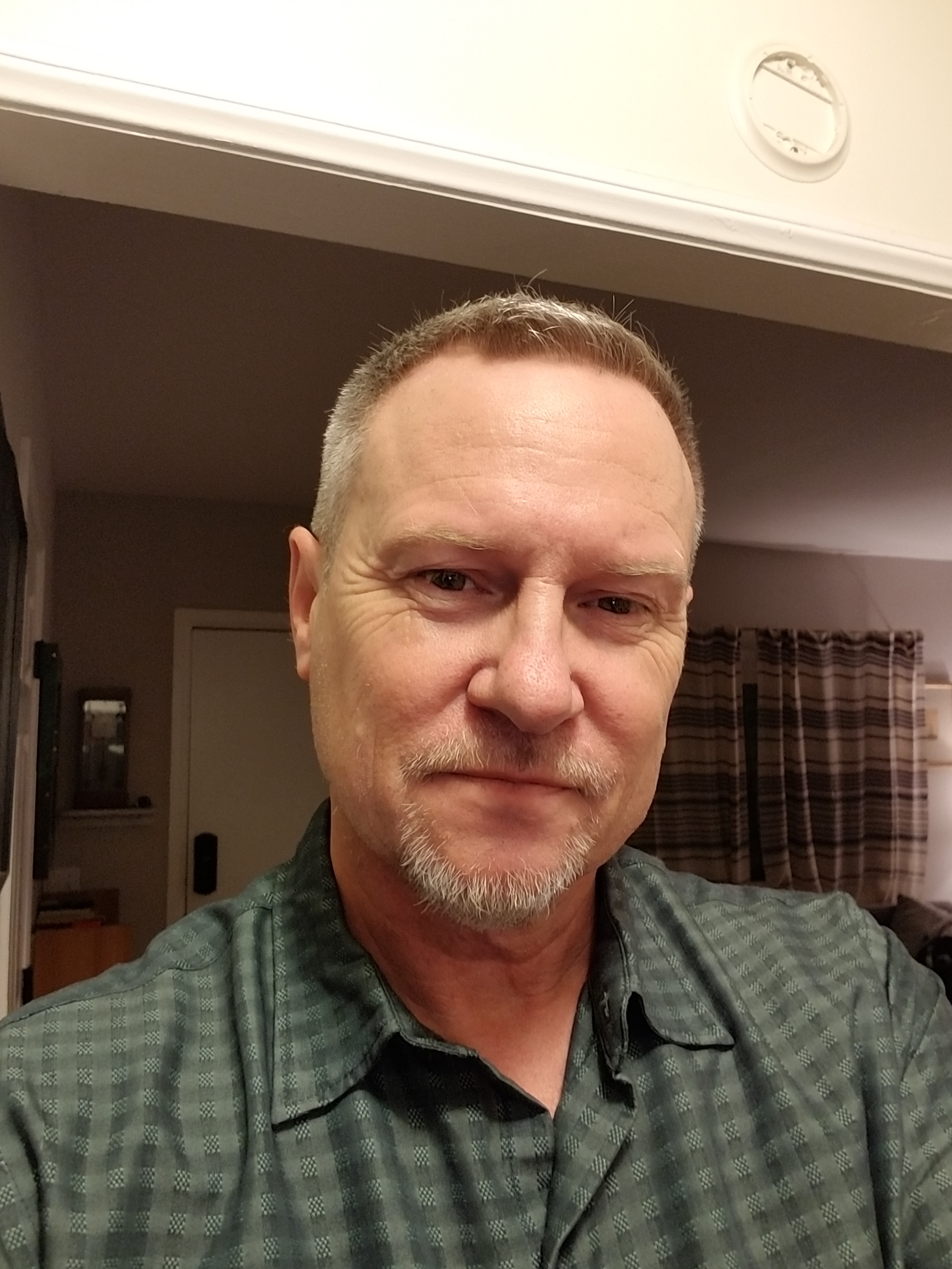 Patten, David – literally stories