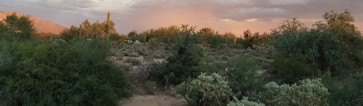 The Horrible Relocation by Marco & Liam Etheridge – literally stories