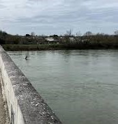 Then They Walked Along by the Riverside by Dale Williams Barrigar ...